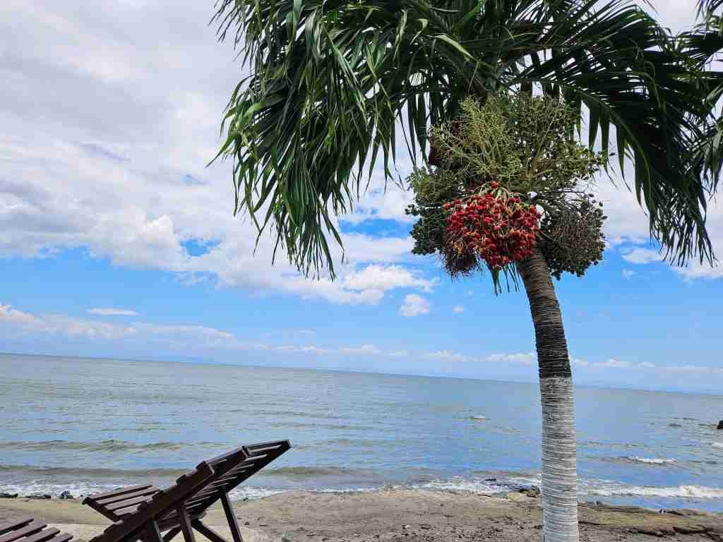 Hotel Finca Venecia - Ometepe info